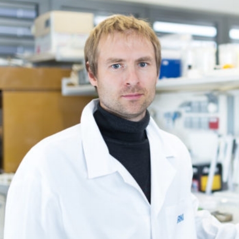 Kohtu Meie Kogenud Lektoritega - IntensivePT Eesti